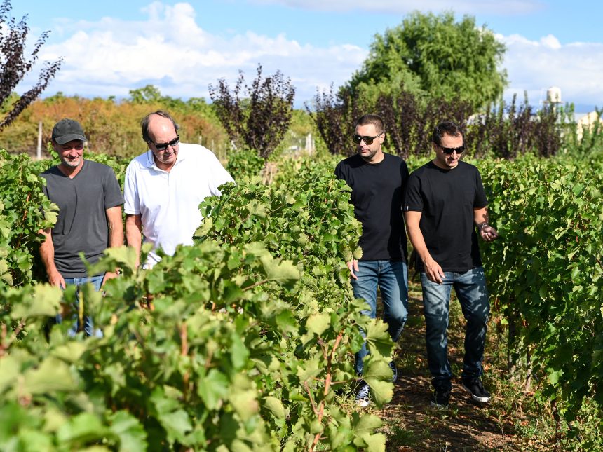 11 NANDO WINES – VINANDINA